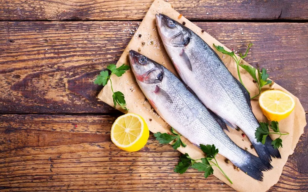 Elope in the Faroe Islands 2026/27: everything you need