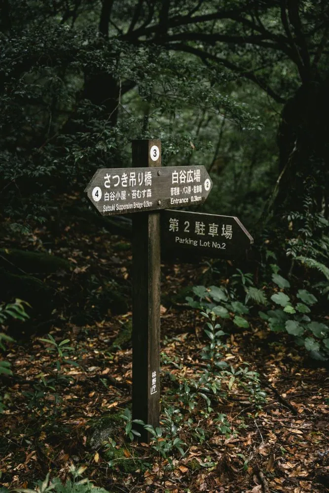 Your elopement checklist: a free printable to simplify your planning